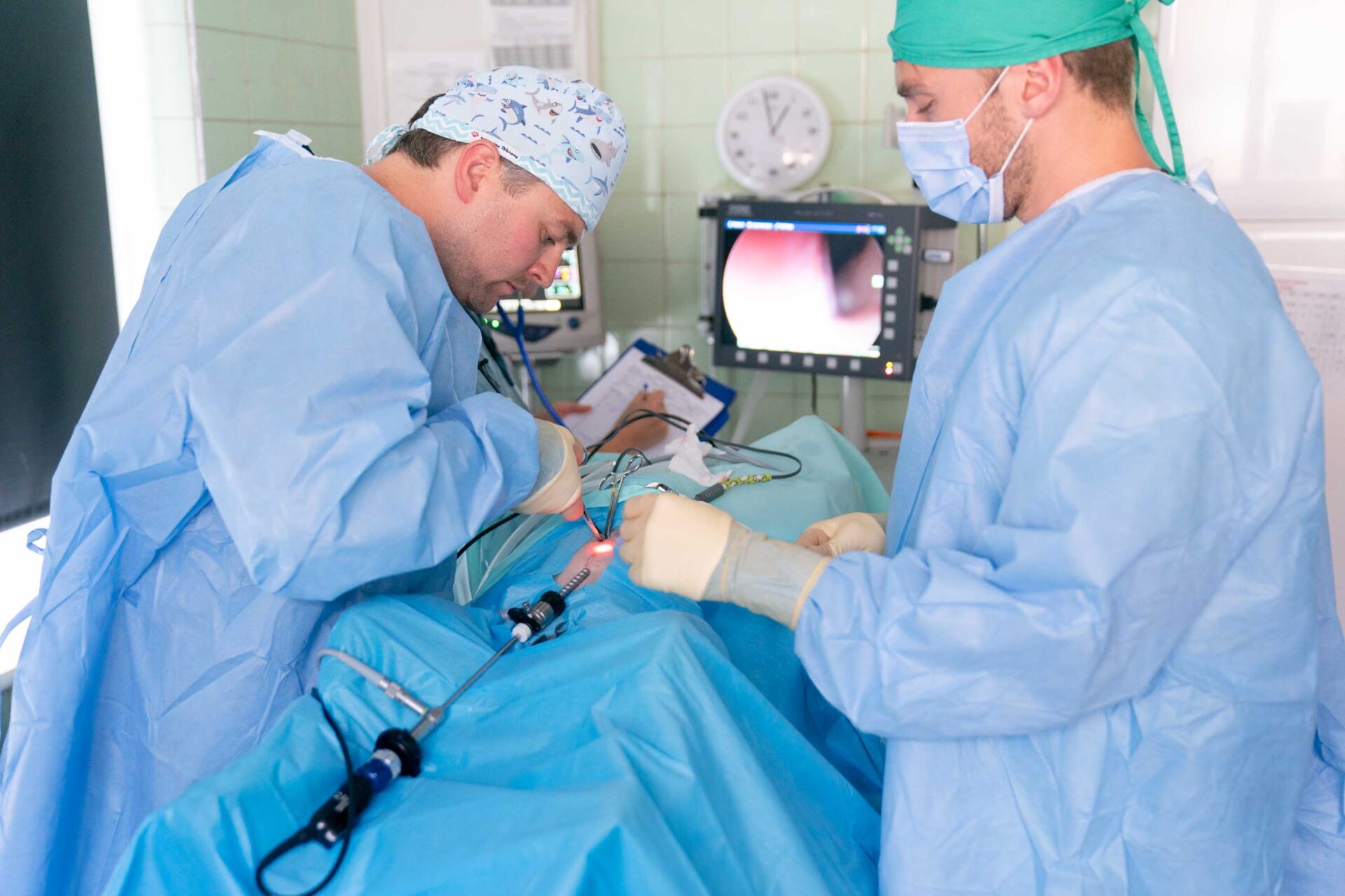 Laparoscopy and keyhole surgery – Priory Lodge Vets