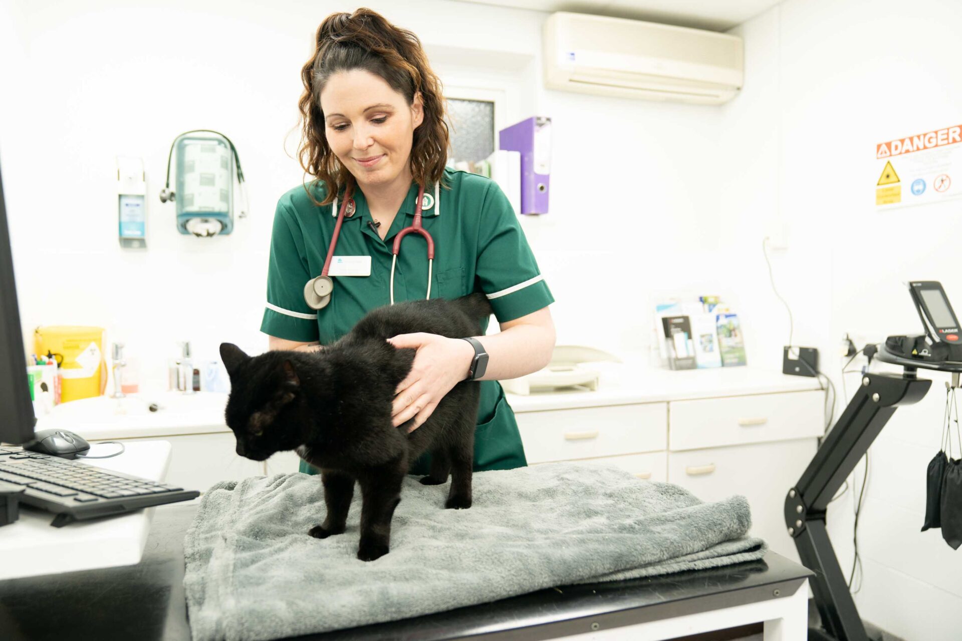 Senior Clinics – Priory Lodge Vets